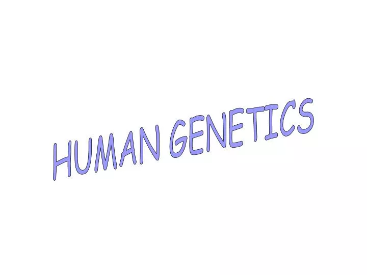 PPT - HUMAN GENETICS PowerPoint Presentation, free download - ID:987628