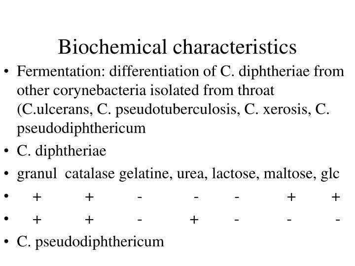 PPT - Practicals WT4 Mycobacterium, Corynebacterium PowerPoint ...