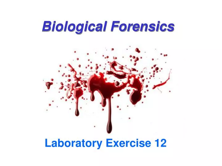PPT - Biological Forensics PowerPoint Presentation, free download - ID ...