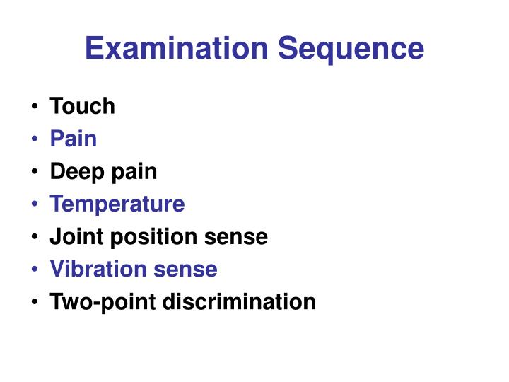 PPT - The Sensory System Examination PowerPoint Presentation - ID:987968