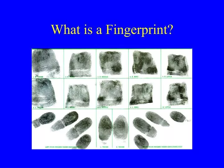 PPT - What is a Fingerprint? PowerPoint Presentation, free download ...