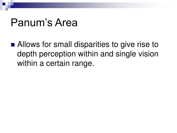 PPT - Binocular Vision and Space Perception PowerPoint Presentation ...