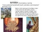 PPT - The Healing Oils of the Bible PowerPoint Presentation - ID:995746