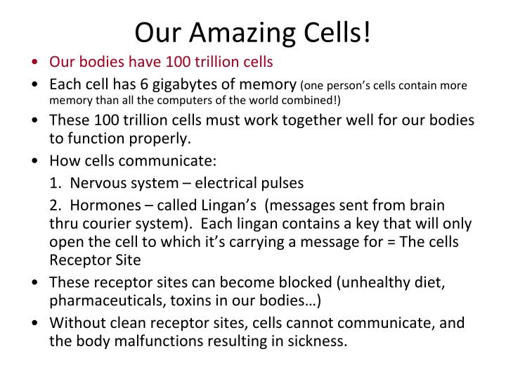 PPT - The Healing Oils of the Bible PowerPoint Presentation - ID:995746