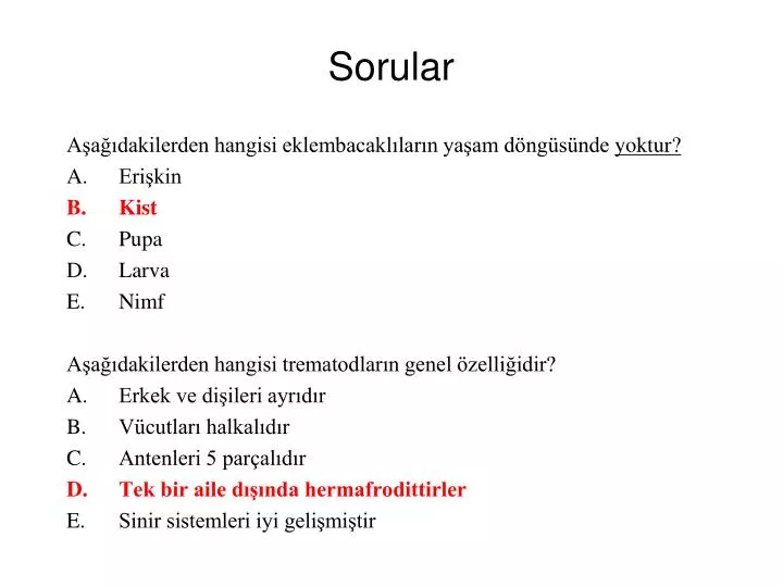 PPT - Sorular PowerPoint Presentation, free download - ID:996094