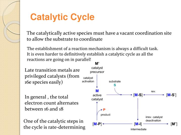 PPT - Organometallic Catalysts PowerPoint Presentation - ID:997338