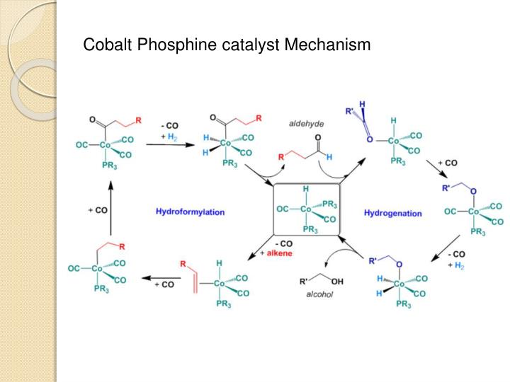 PPT - Organometallic Catalysts PowerPoint Presentation - ID:997338
