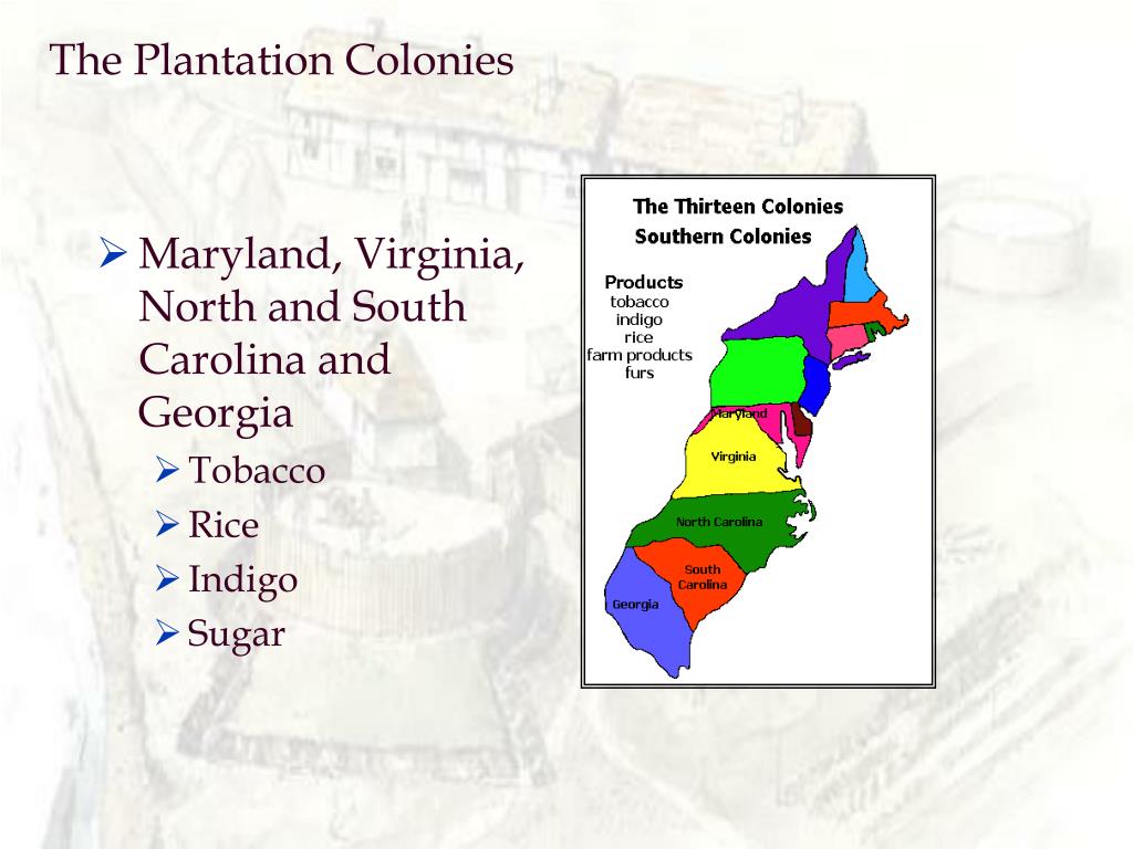 PPT - THE PLANTING OF ENGLISH AMERICA PowerPoint Presentation, free ...